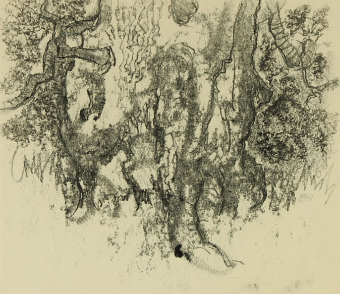 David Thompson - Framed 1987 Monotype, Staverton Oaks by David Thompson ...