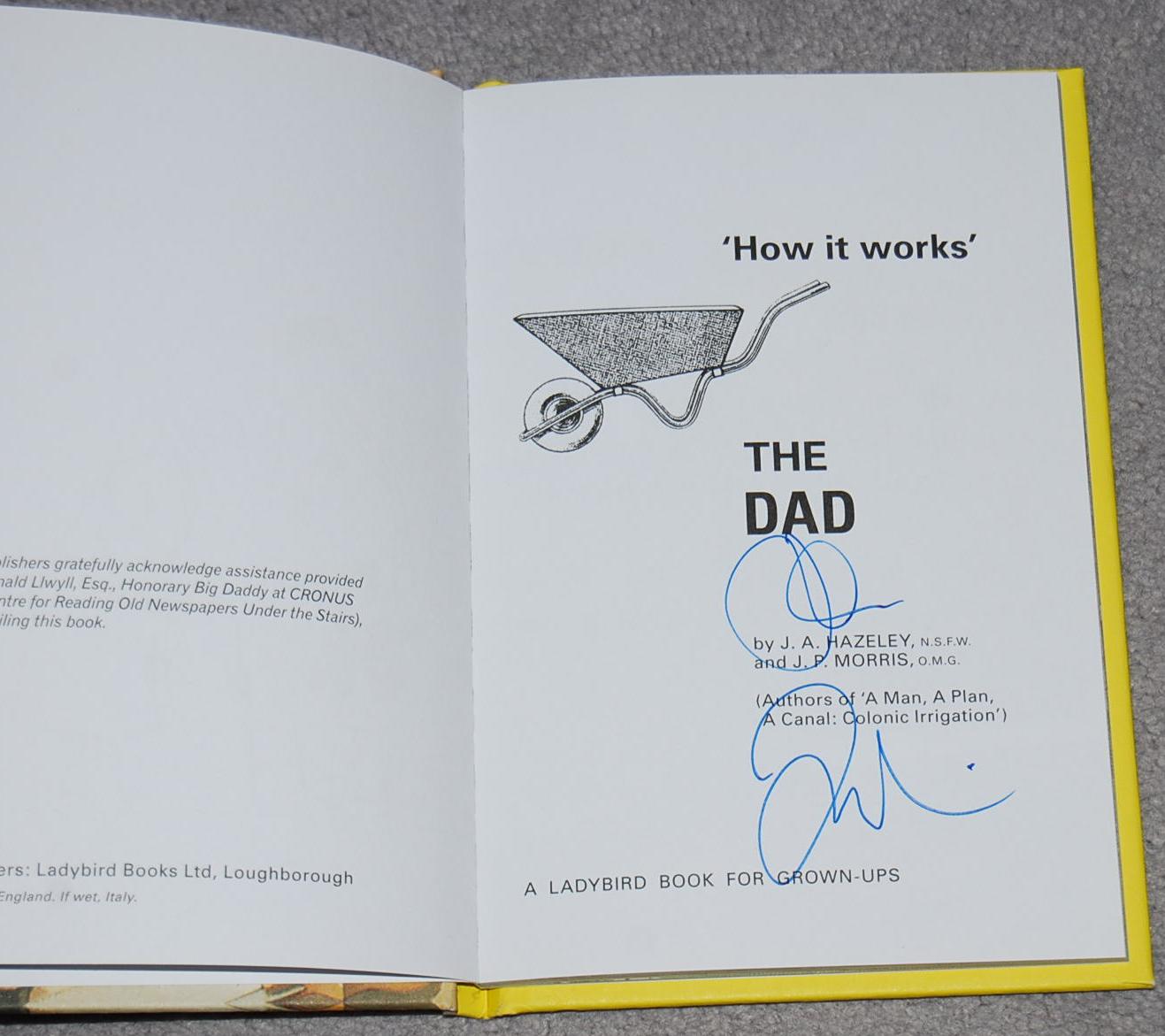 How it Works : The Dad (A Ladybird Book for Grown-ups) by Jason Hazeley ...