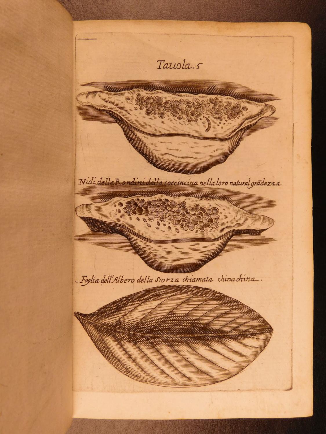 1687 Francesco Redi Science Experiments on Insects Vipers SNAKE Natural ... 1687 Francesco Redi Science Experiments on Insects Vipers SNAKE Natural ...