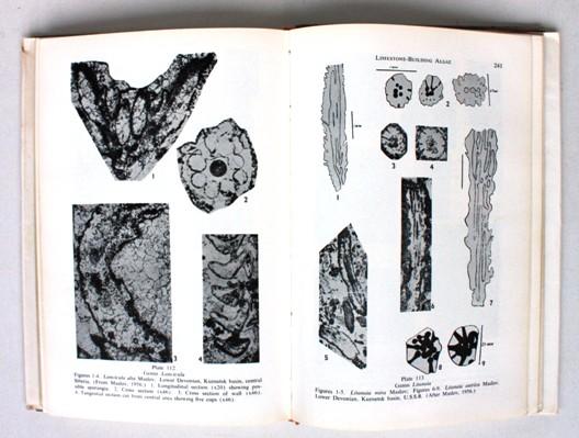 Limestone-Building Algae and Algal Limestones by J. Harlan Johnson ...