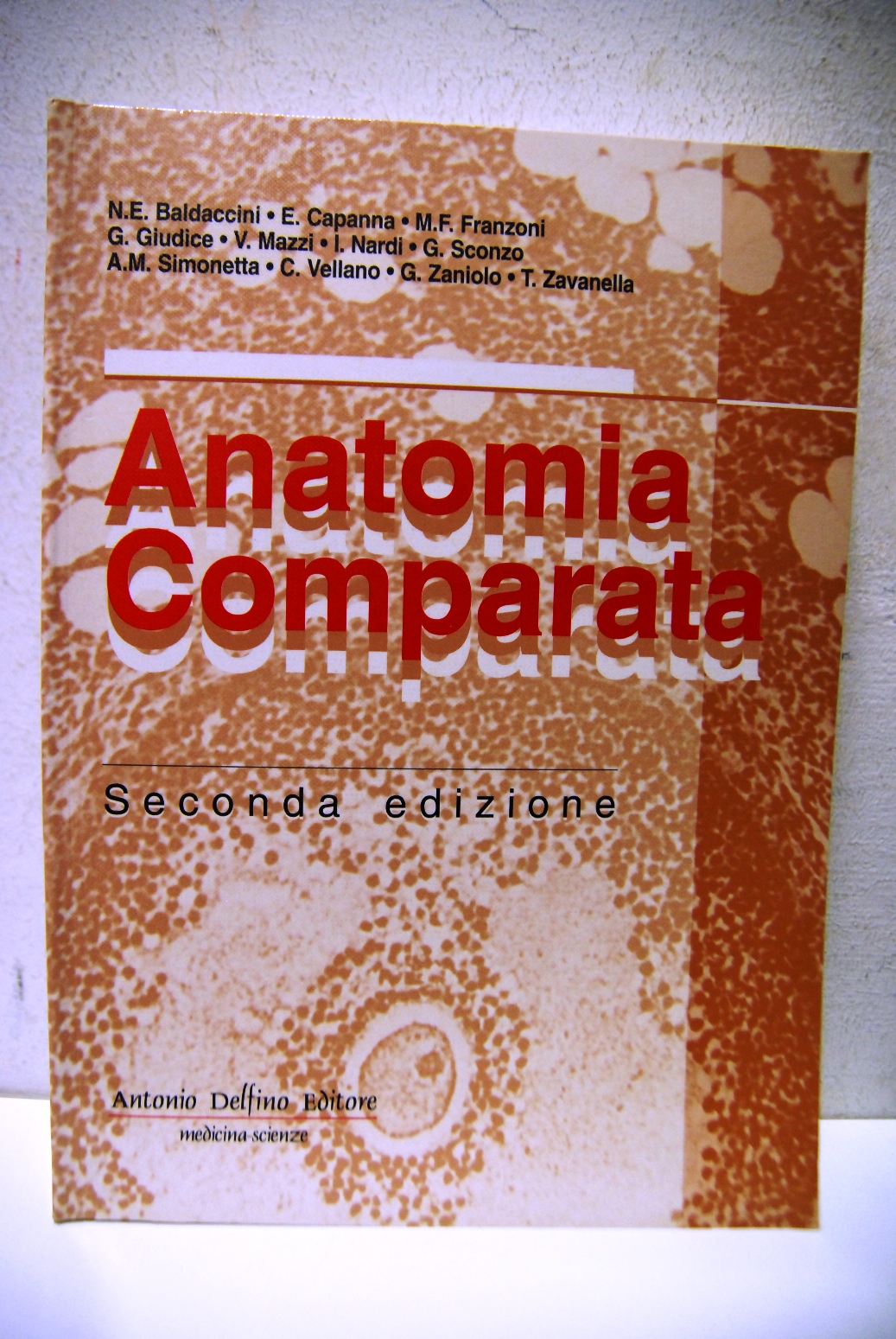 Anatomia Comparata by Baldaccini: Perfetto (Mint) Perfette Brossura ...