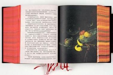 SHV Think Book [Thinkbook] (Chinese edition) by Boom, Irma ; Johan ...