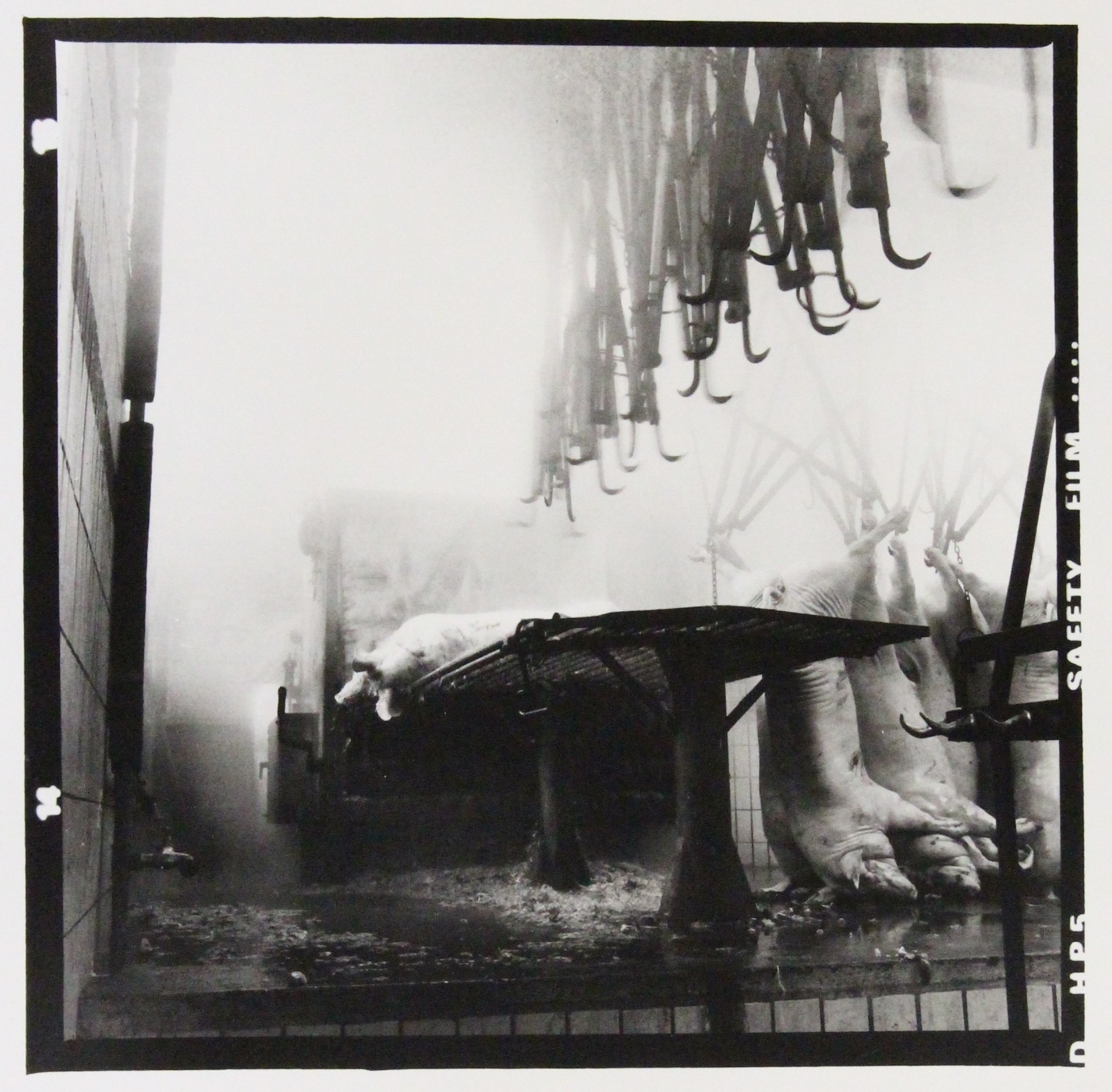 Abattoir II. Photographie Originale de l'artiste by TRIVIER Marc: (1980 ...