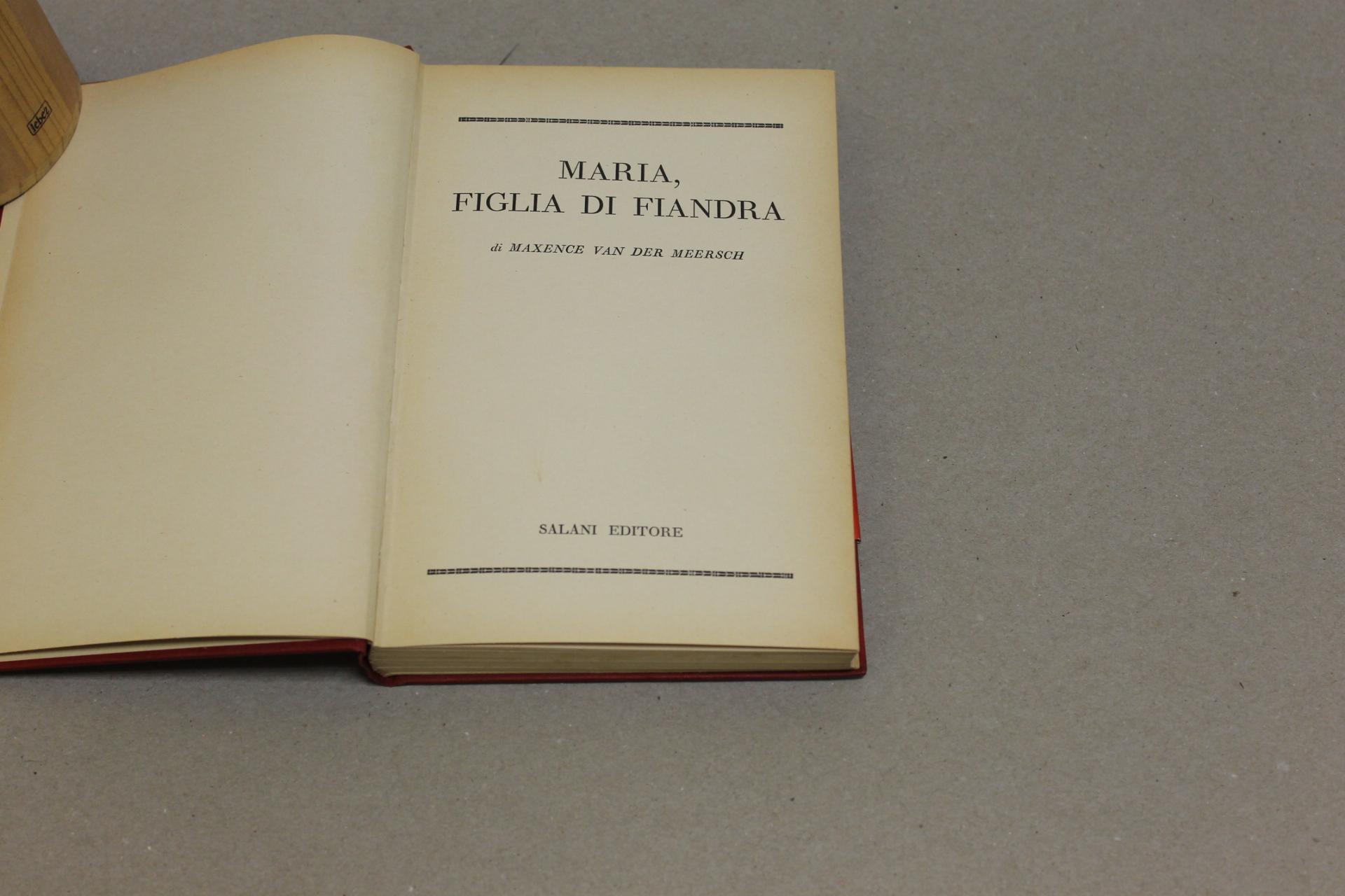 Maria, figlia di Fiandra: Molto buono (Very Good) | Amarcord libri