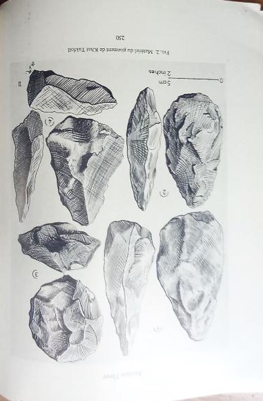 THE FORBIDDEN EXPERIMENT The Story of the Wild Boy of Aveyron by ...