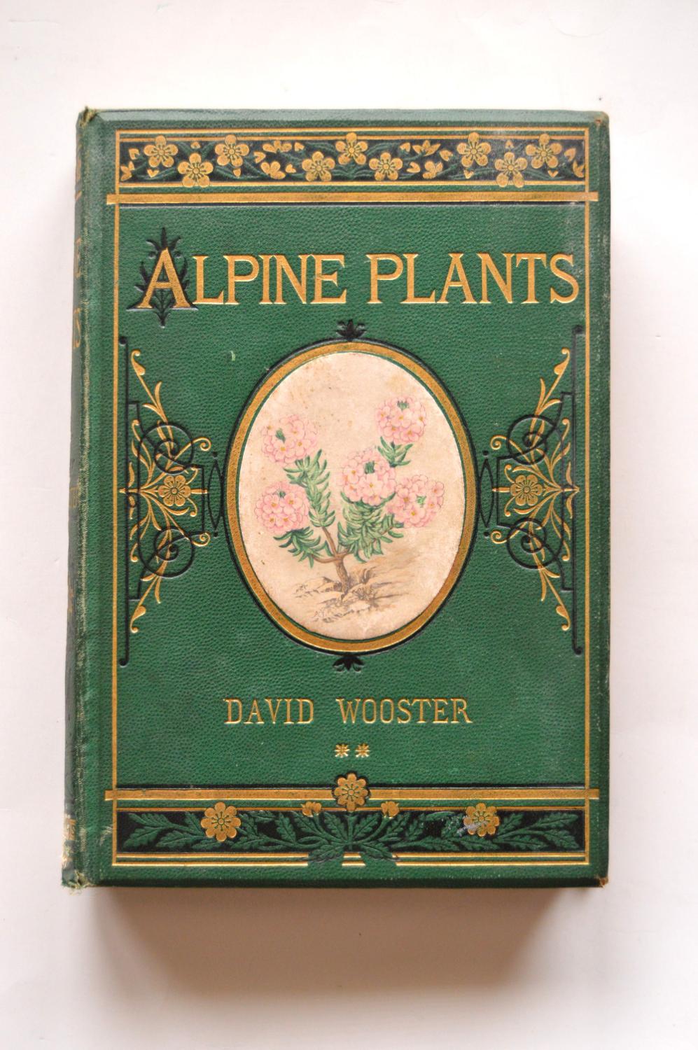 Alpine Plants: Figures and Descriptions of the Most Striking and ...