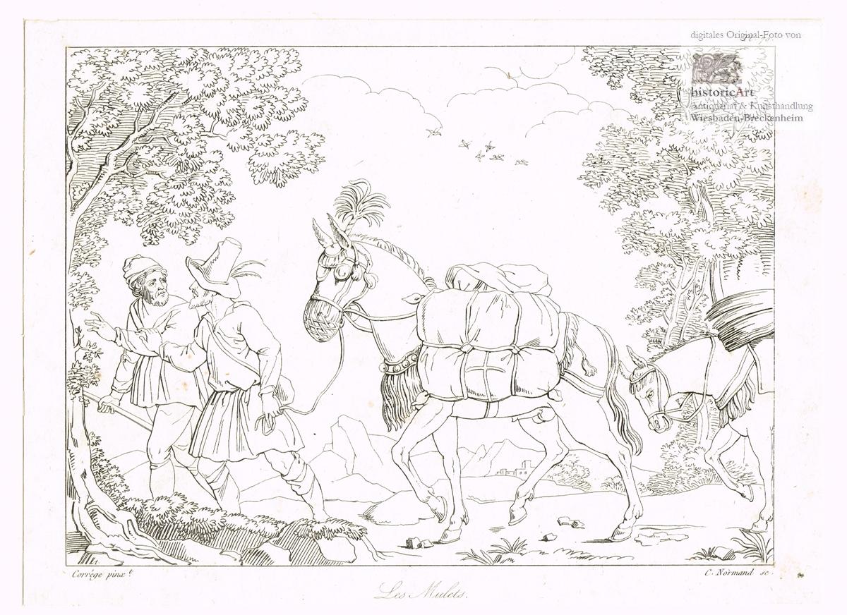Les Mulets. Beladene Maultiere mit Treibern. Kupferstich von Normand ... Les Mulets. Beladene Maultiere mit Treibern. Kupferstich von Normand ...