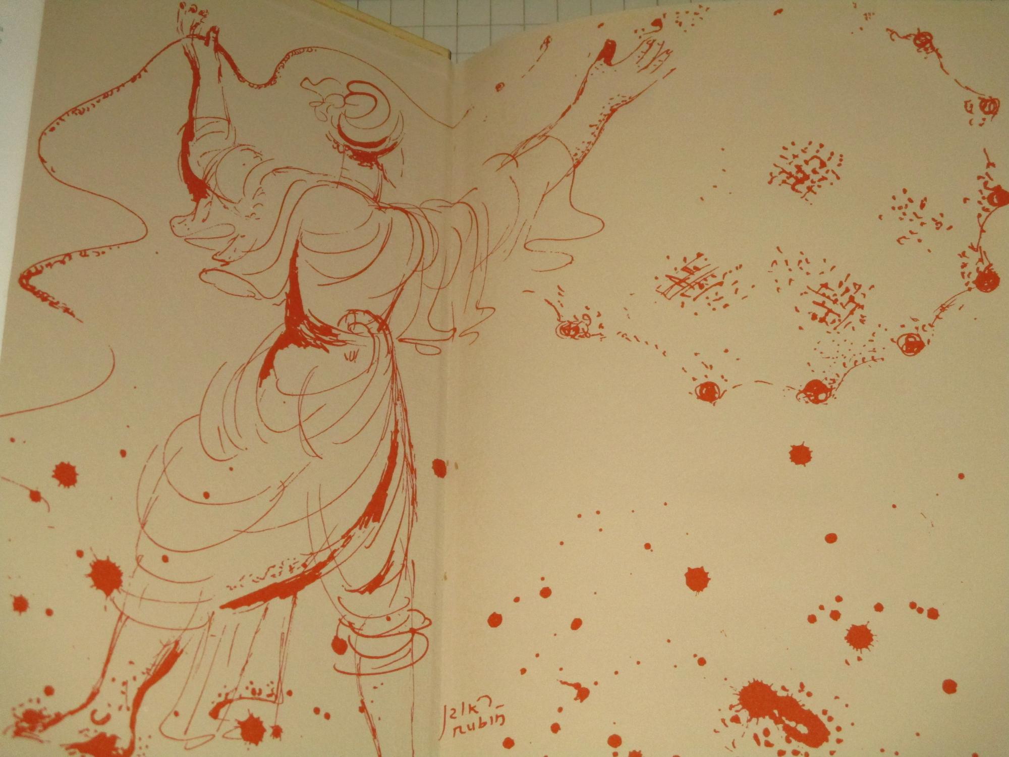 Rubin (Rumanian/Israeli Artist) by Alfred Werner: Very Good Hardcover ...