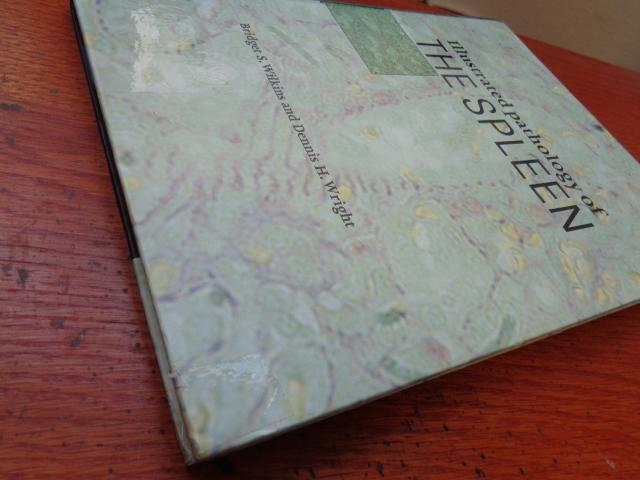 Illustrated Pathology of the Spleen von Bridget S. Wilkins; Dennis H ...