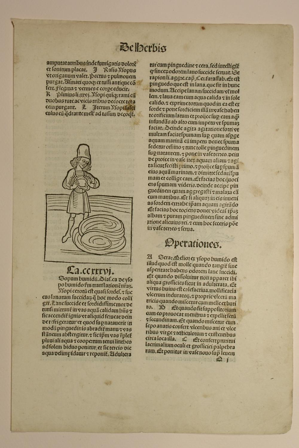 Hortus sanitatis (GW 13548, HC 8944). Cap. CCXXXVI Sopum humidum (Ysop ...