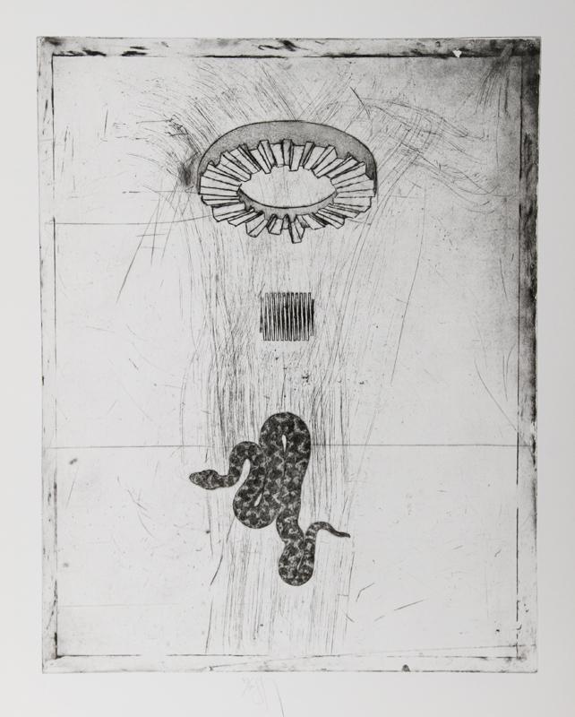 Donald Saff, Snake, Etching: Firmado por el autor Arte / Grabado ...