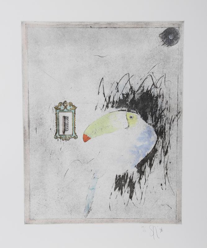 Donald Saff, Toucan (Color), Aquatint Etching: Signed by Author(s) Art ...