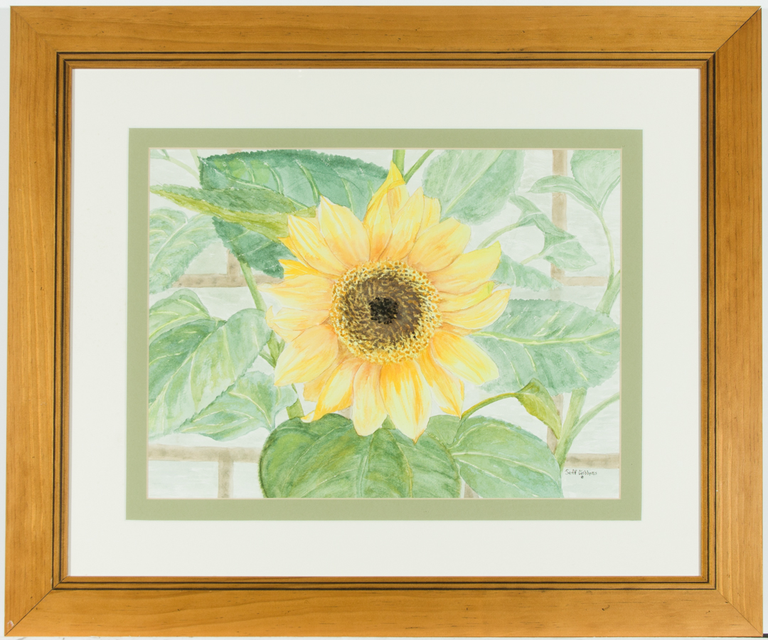 Jeff Gibbons - Signed and Framed Contemporary Watercolour, Sunflower by ...