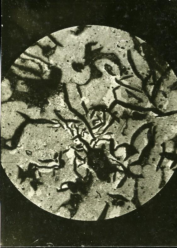 Science Expansion Microscope Grey Cast Iron France Old Snapshot 1960 by ...