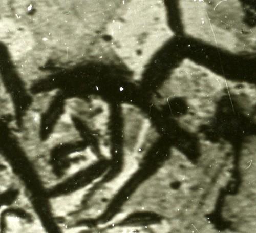 Science Expansion Microscope Grey Cast Iron France Old Snapshot 1960 by ...