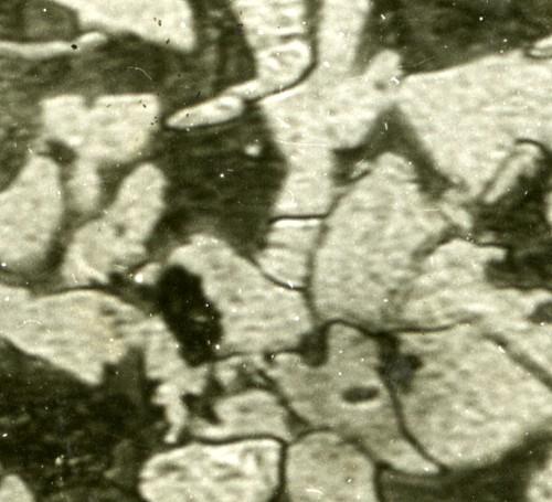 Science Expansion Microscope Grey Cast Iron France Old Snapshot 1960 by ...