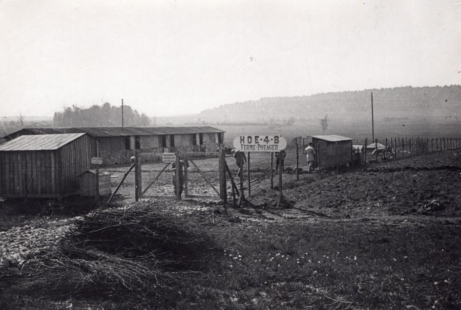 Farm Supply HOE 4B WWI Military scene old war Photo: Photographie ...