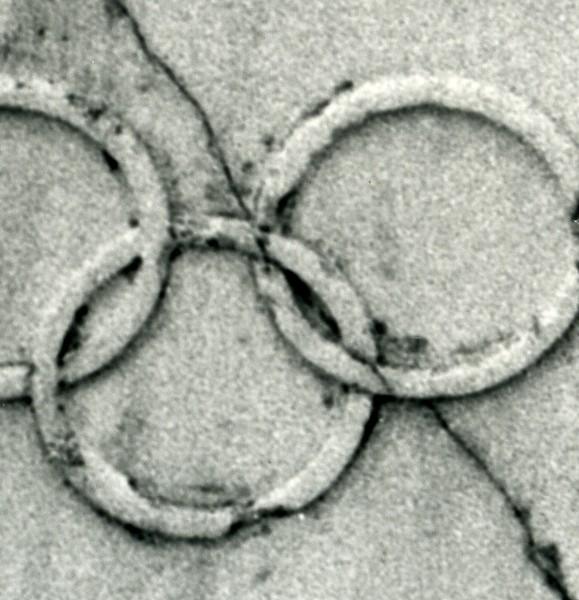 Greece Olympia Altar Pierre de Coubertin Grove Moscow Games Old Photo ...