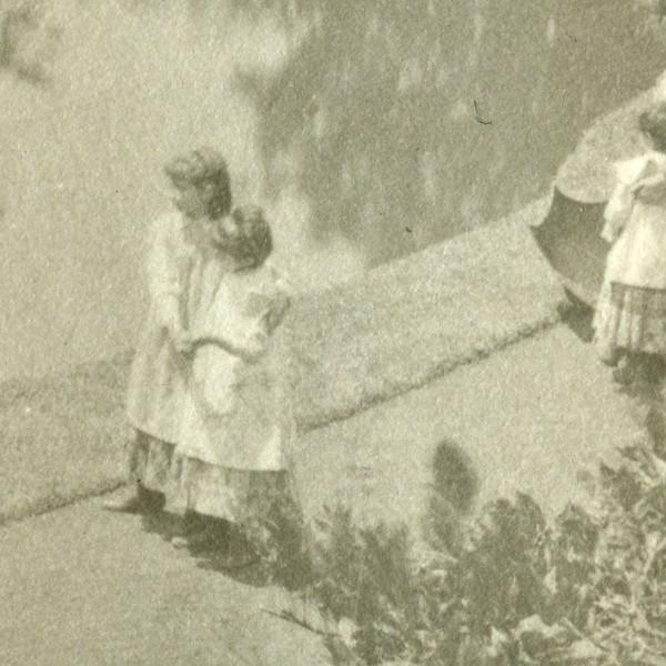 Portugal Azores Sao Miguel Ponta Delgada Count Botelho Gardens Photo ...