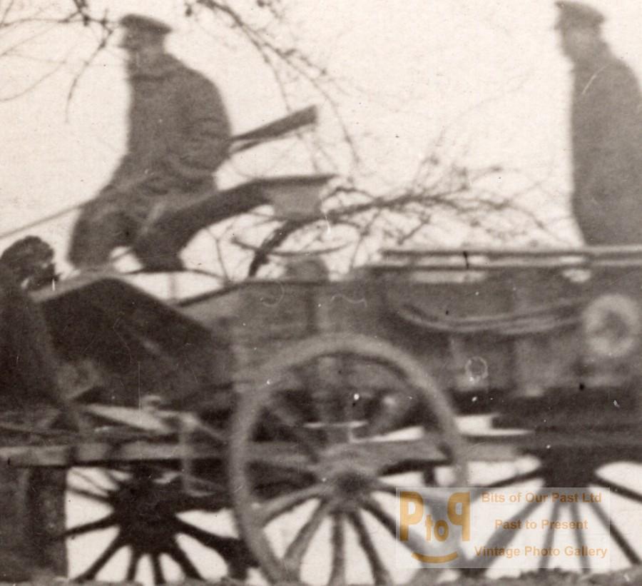 France WWI British Western Front Observation Post Tree Old Photo 1914 ...