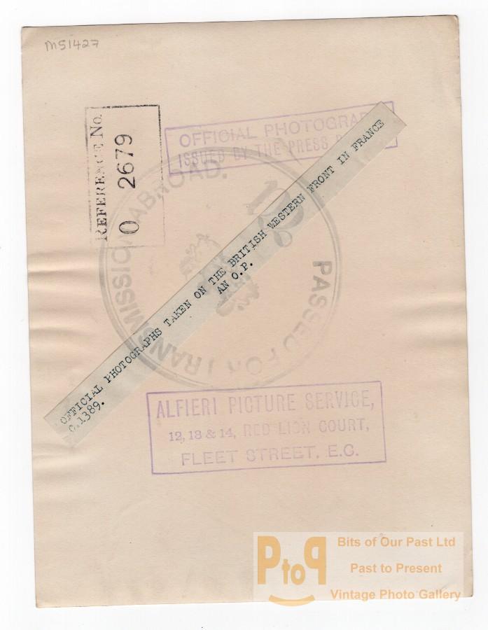 France WWI British Western Front Observation Post Tree Old Photo 1914 ...