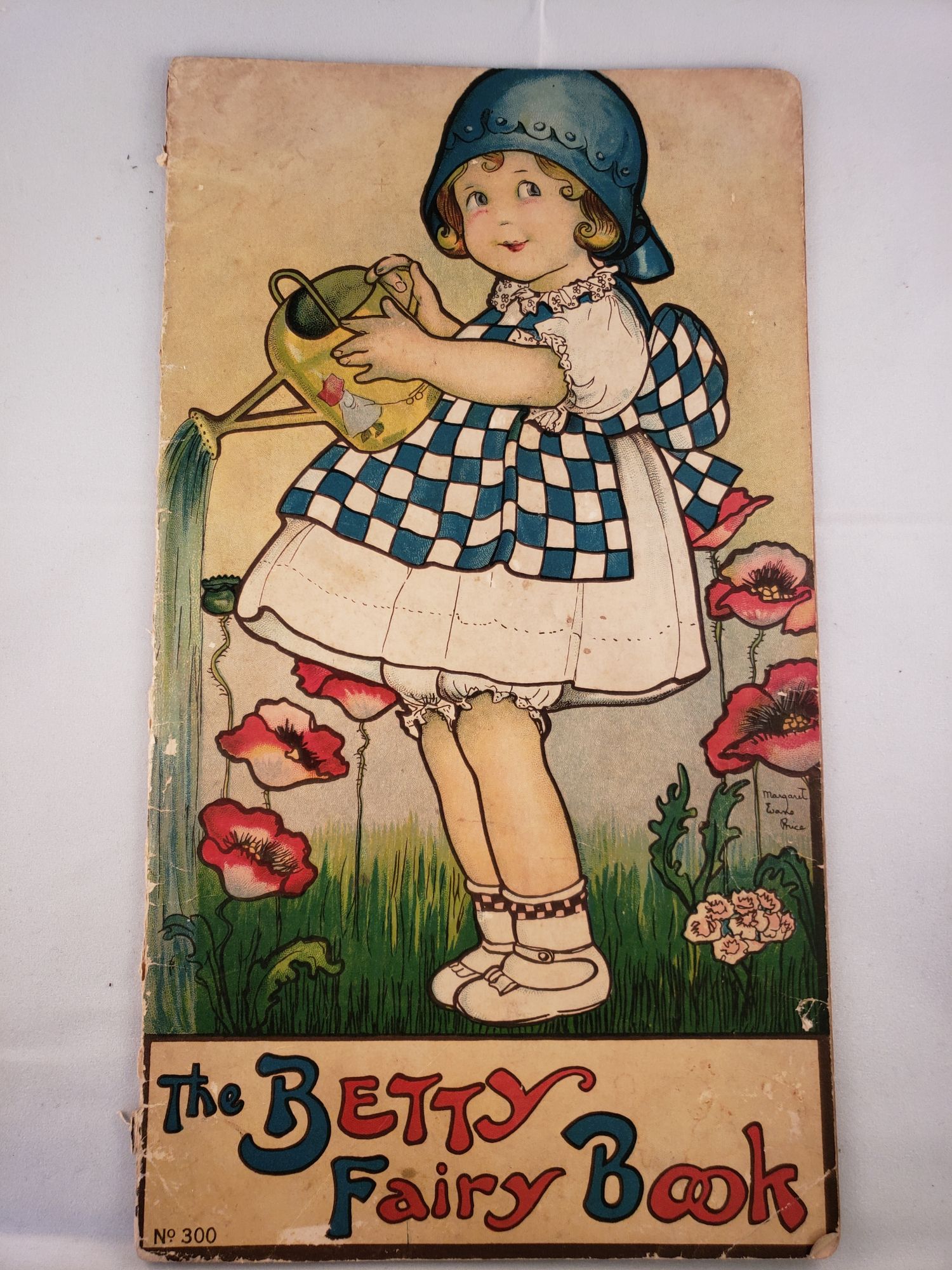 The Betty Fairy Book by Flint, Helen E. | WellRead Books