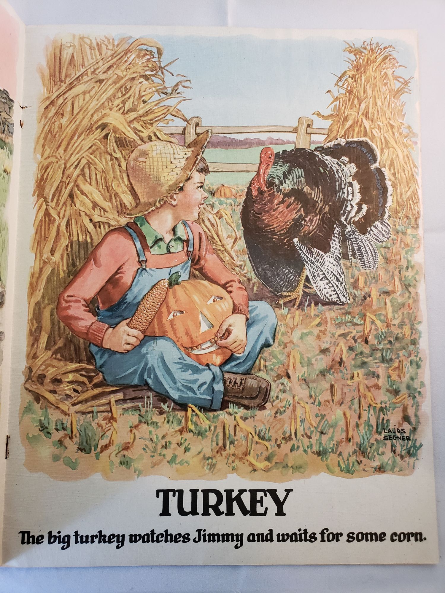 Giddap, Donkey! Animal Book by Segner, Lajos, illustrator | WellRead Books