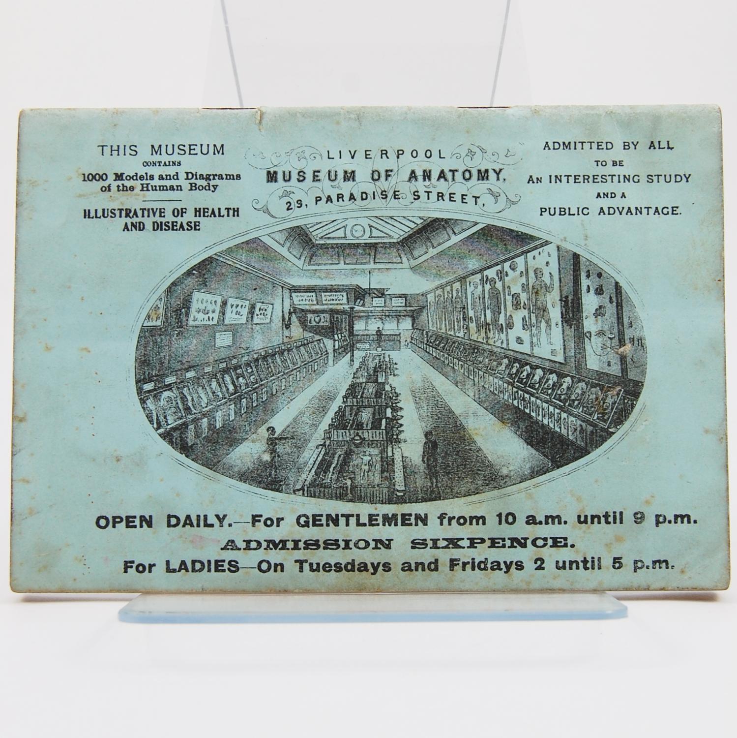 Catalogue or Guide to the Liverpool Museum of Anatomy. 29, Paradise ...