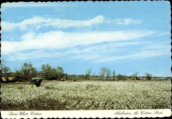 Ansichtskarte / Postkarte Alabama USA, The Cotton State, Snow White ...