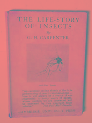 The life-story of insects von CARPENTER, Geo.H.: (1913) 1st edition ...