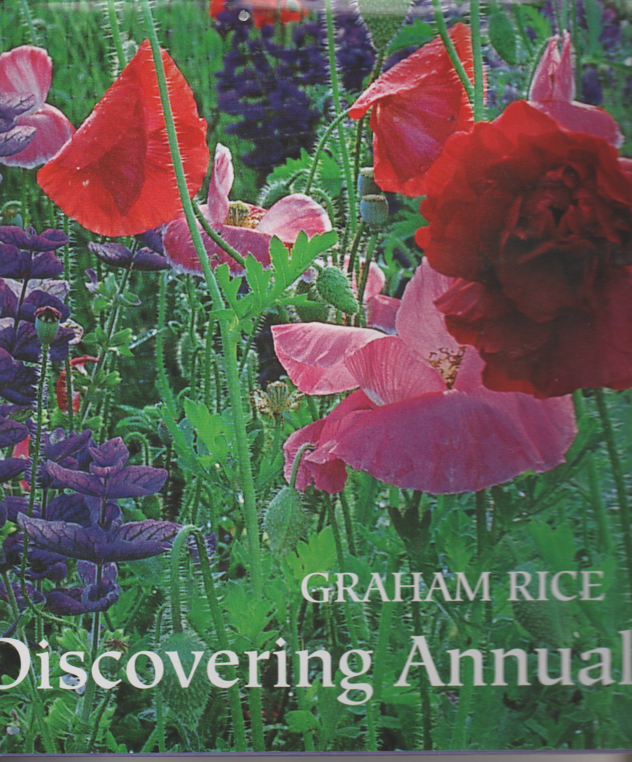 Discovering Annuals by Rice, Graham: New Hardcover (1999) First Edition ...