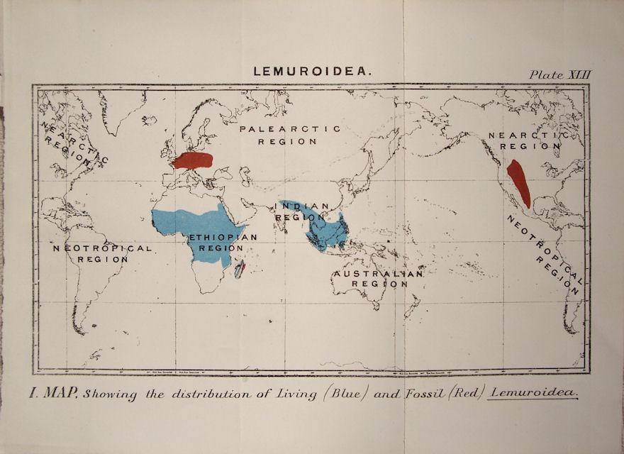 Monkeys. Map I. Showing the distribution of Living & Fossil Lemuroidea ...