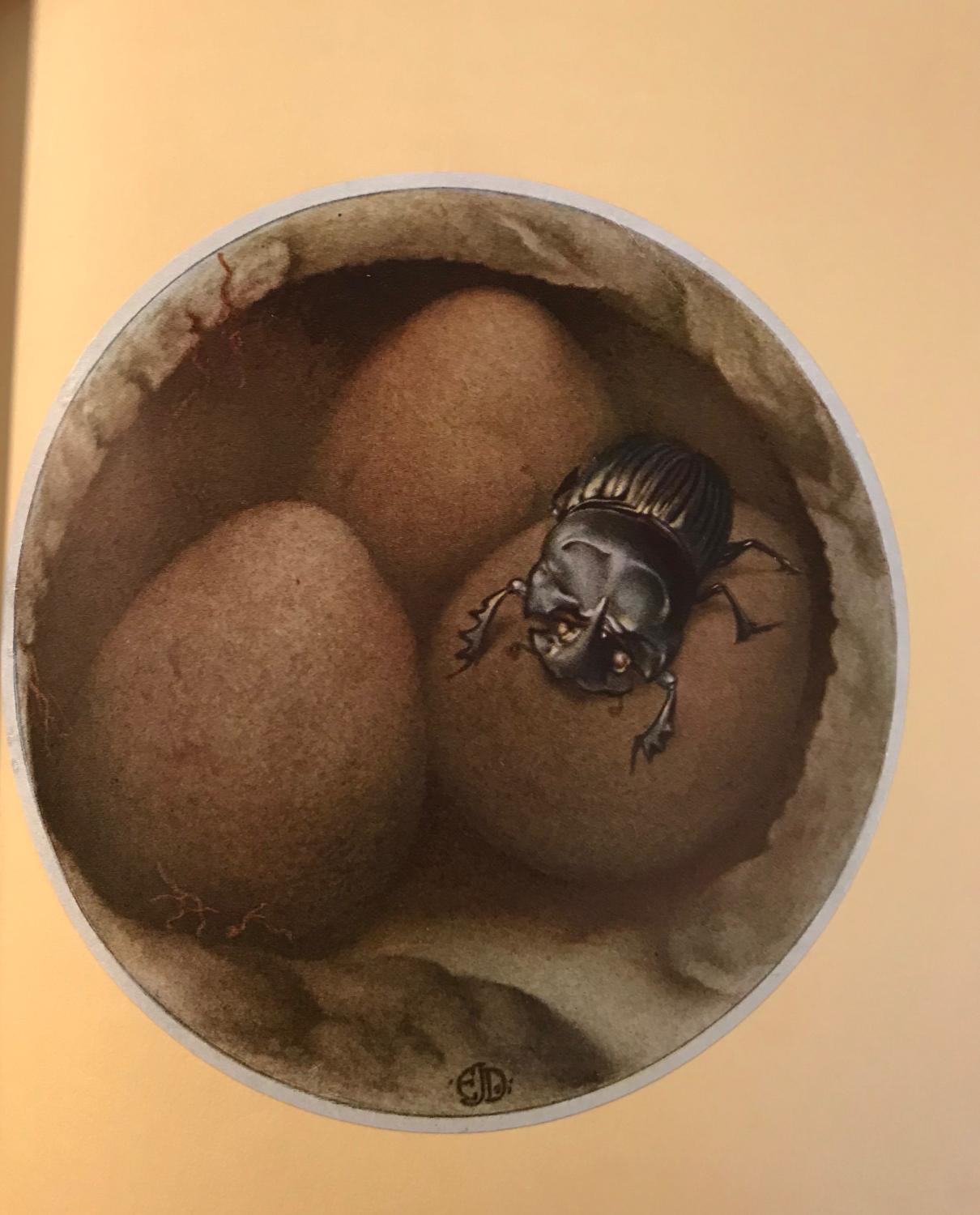 Fabre's Book of Insects by Jean-Henri Fabre: Near Fine Hardcover (1921 ...