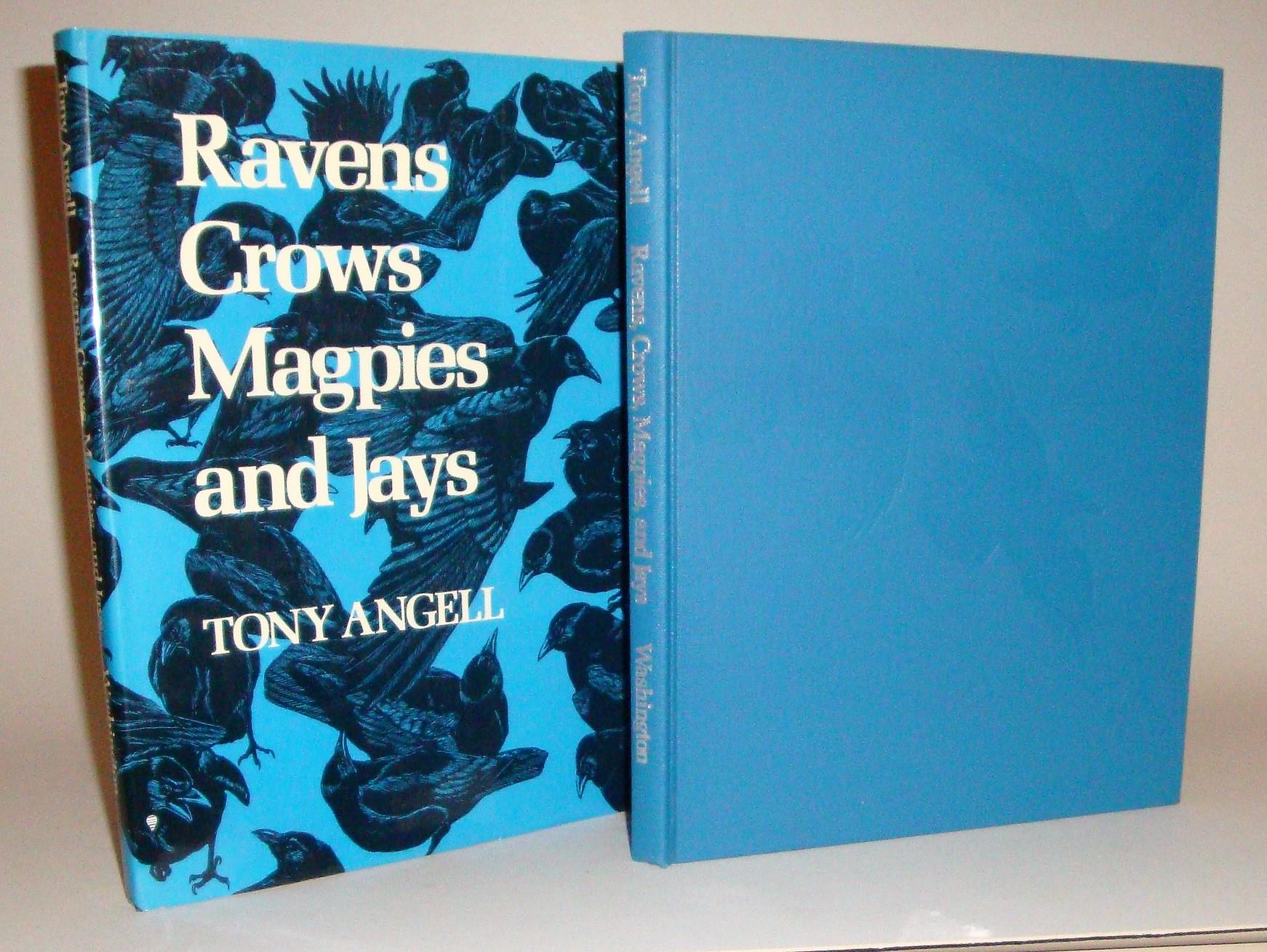 Ravens Crows Magpies and Jays by Angell, Tony: Very Good Hardcover ...