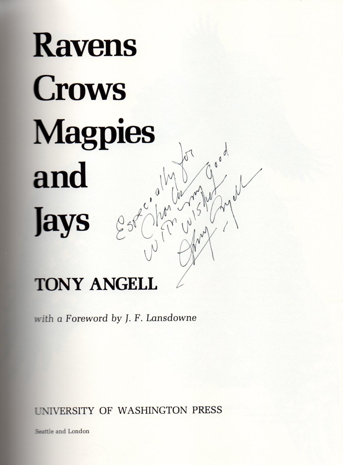 Ravens Crows Magpies and Jays by Angell, Tony: Very Good Hardcover ...