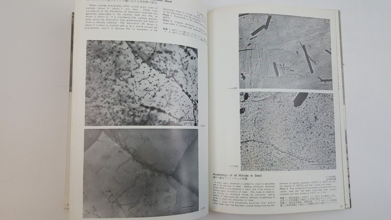 The World through the Electron Microscope, Metallurgy II by Koda, S ...