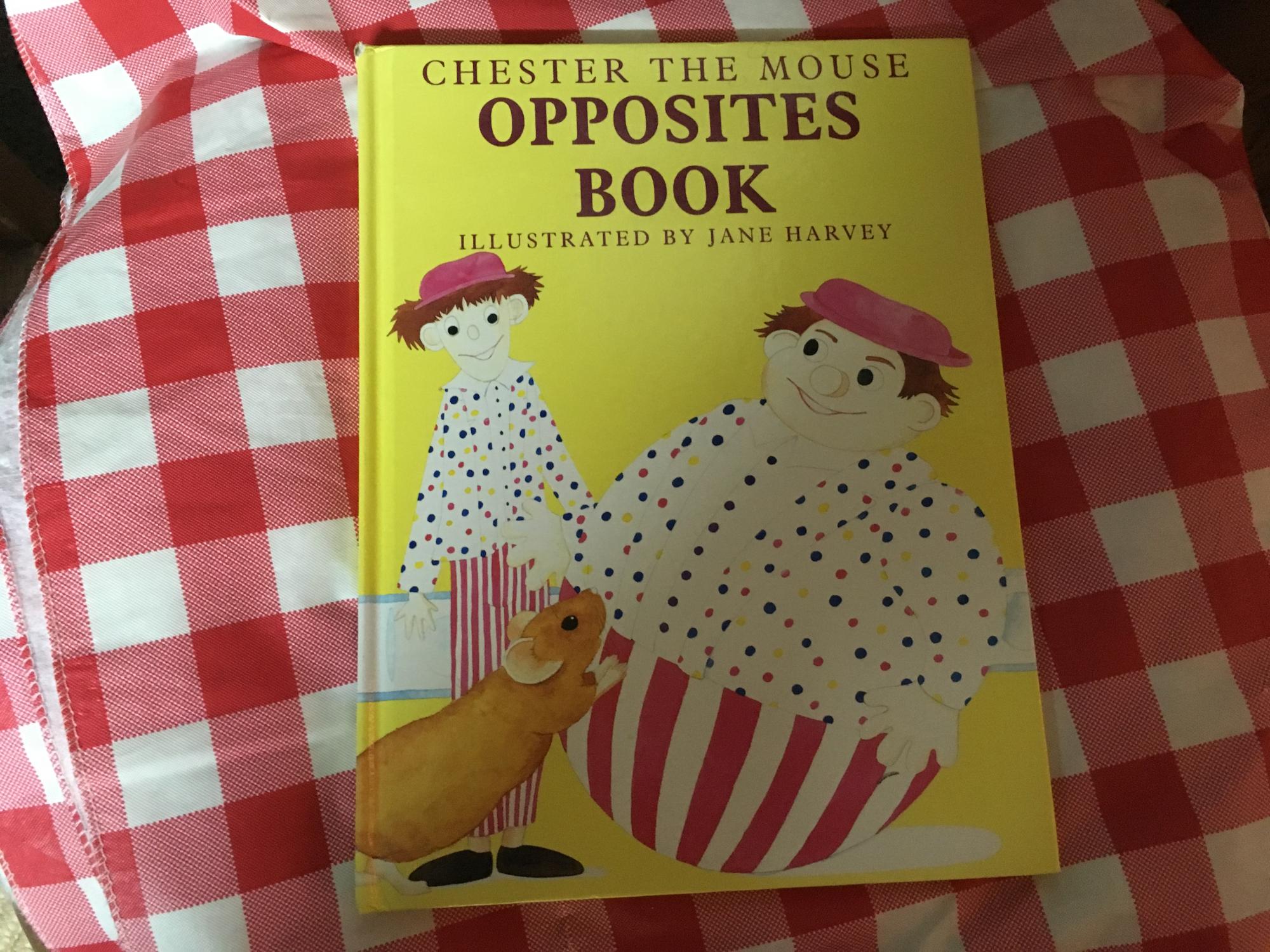 CHESTER THE MOUSE OPPOSITES BOOK by Fortey, Jacqueline, Illustrated by ...