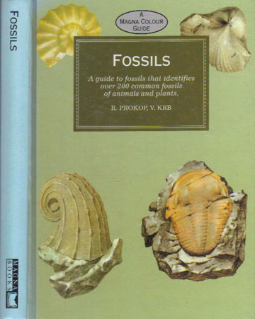 FOSSILS. A Guide to Fossils That Identifies Over 200 Common Fossils of ...