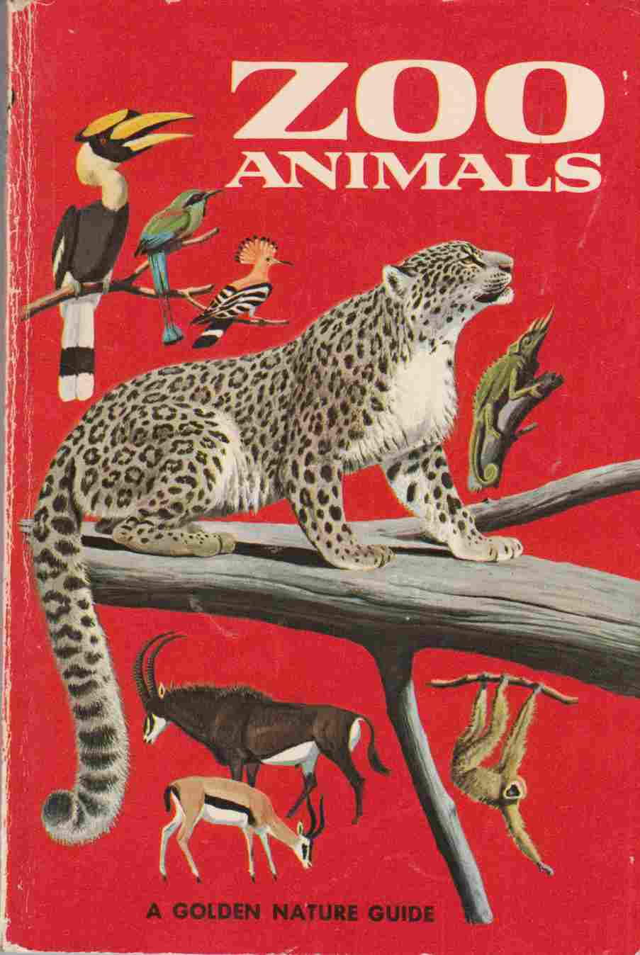 Zoo Animals by Hoffmeister. Donald F.: Very Good+ Card Covers (1967 ...