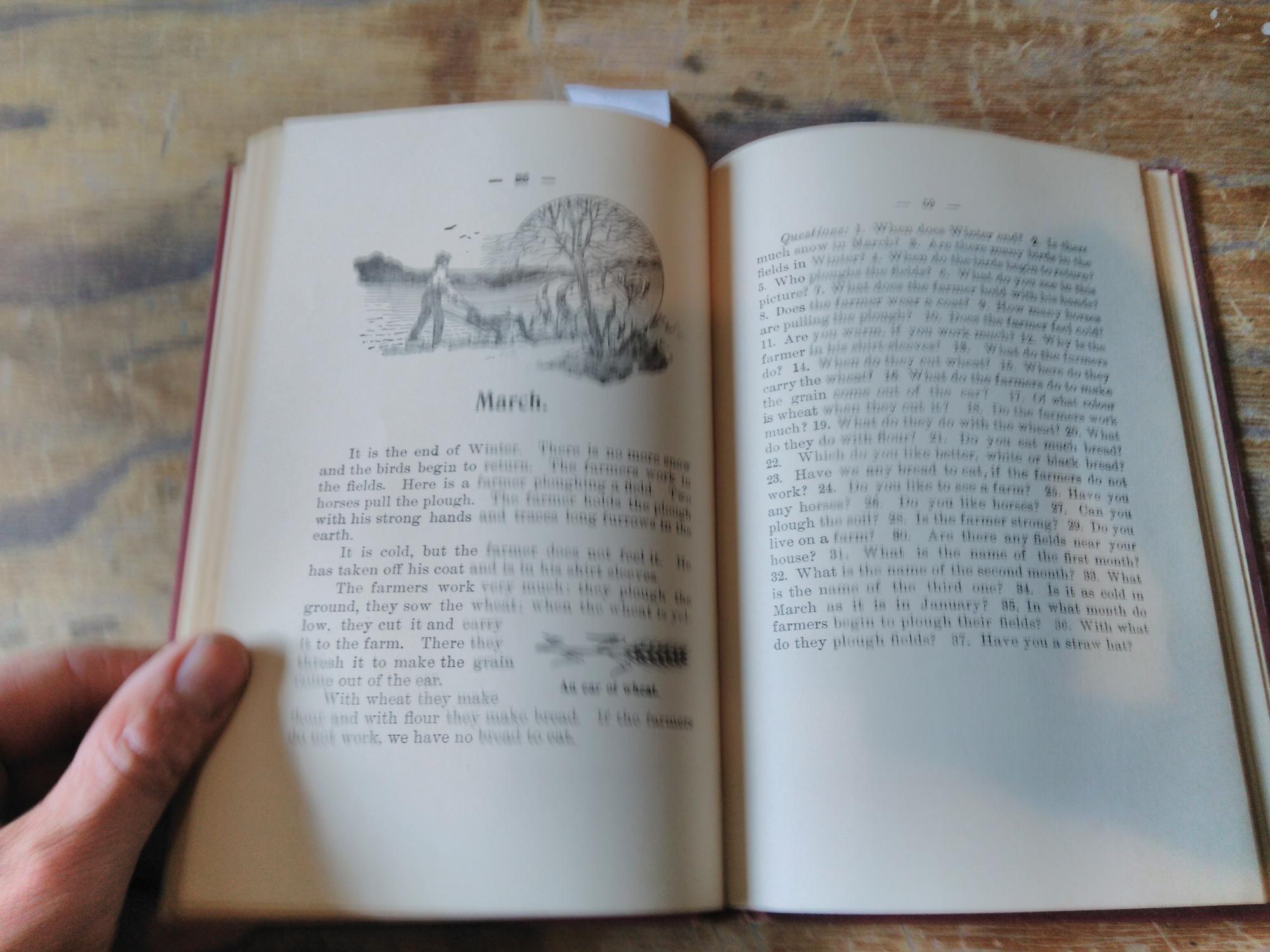 The berlitz method: ilustrated edition for children. par Berlitz, M.D ...