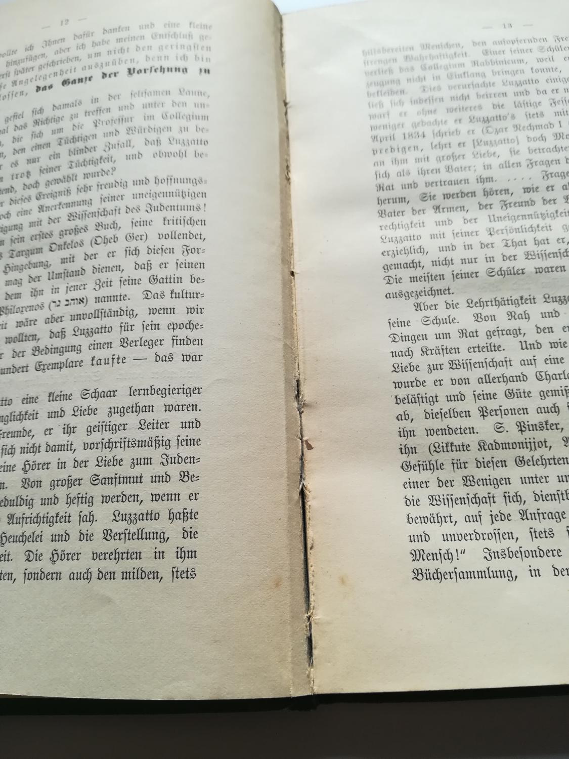 Samuel David Luzzatto. Ein Gedenkbuch zum 100. Geburtstage 22. August ...