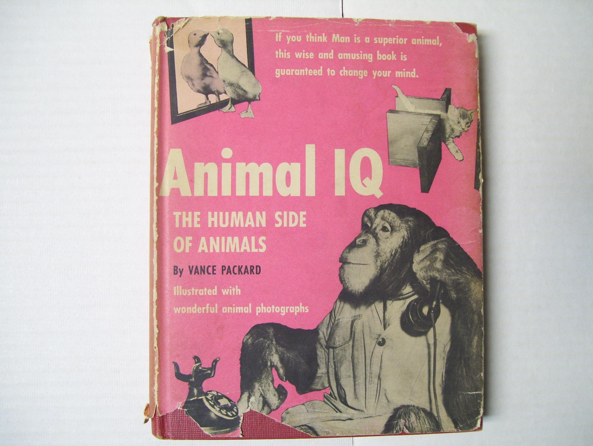 Animal IQ - The human side of animals by Packard, Vance: Very Good ...