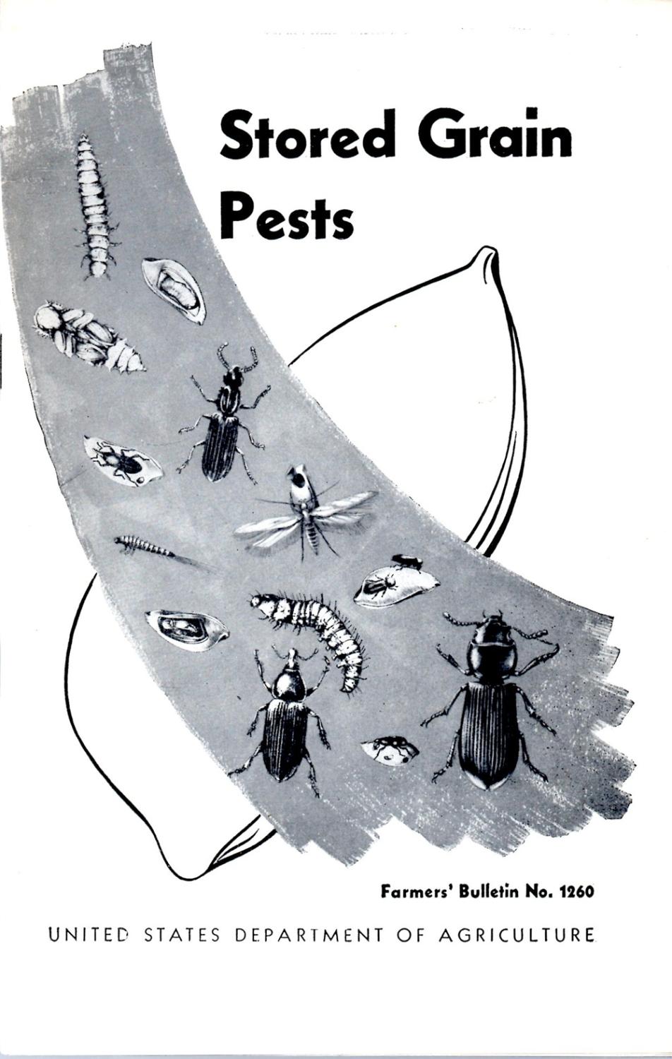 Stored Grain Pests : Farmers' Bulletin No. 1260 by Author Unknown: Good ...