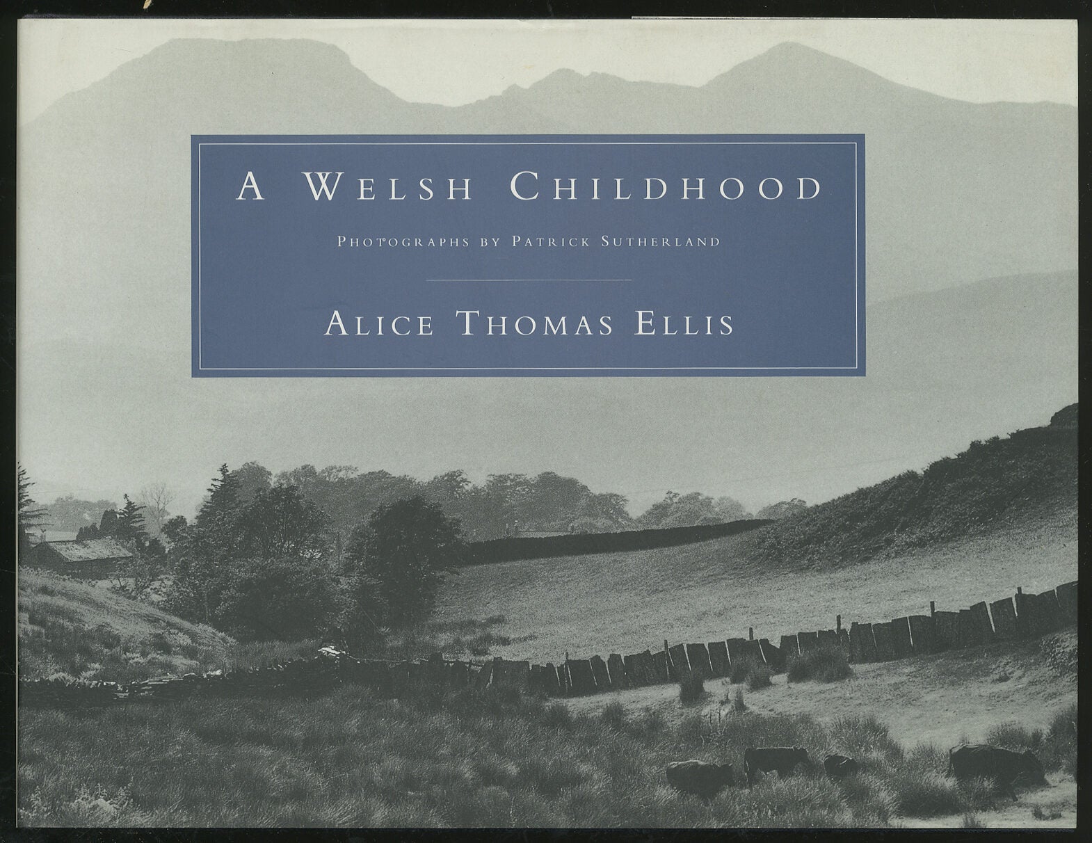 A Welsh Childhood by ELLIS, Alice Thomas: Fine Hardcover (1997 ...