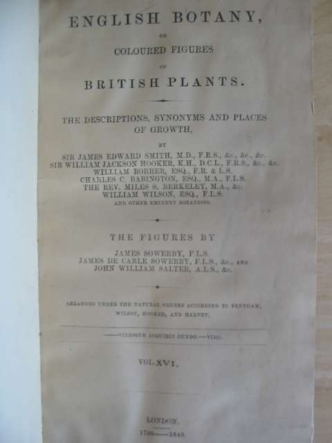 ENGLISH BOTANY OR COLOURED FIGURES OF BRITISH PLANTS VOLUME XVI by ...