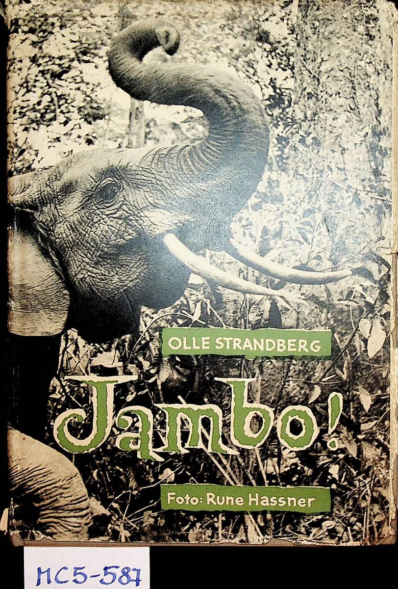 Jambo! Wie steht es mit Afrika? von Strandberg, Otto; Hassner, Rune ...