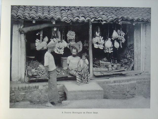 The hundred best views of Ceylon, de CEYLON, CEYLAN, | LIBRAIRIE L'OPIOMANE