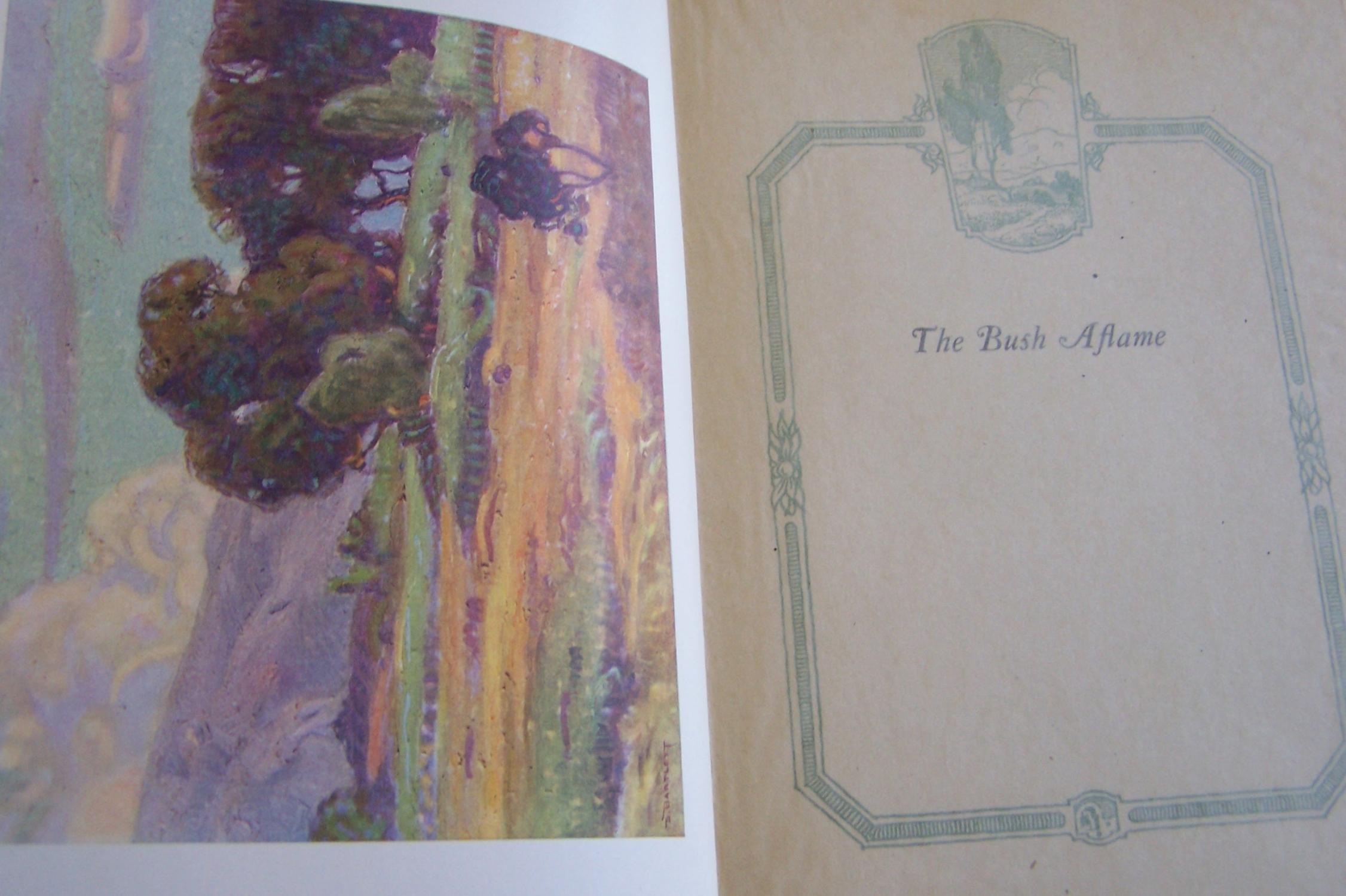 The Bush Aflame. by Bartlett, Dana W.: VG+ Cloth (1923) 1st Edition ...