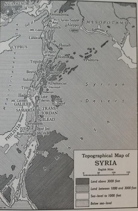 Syria: A Short History. Being a Condensation of the Author's 'History ...