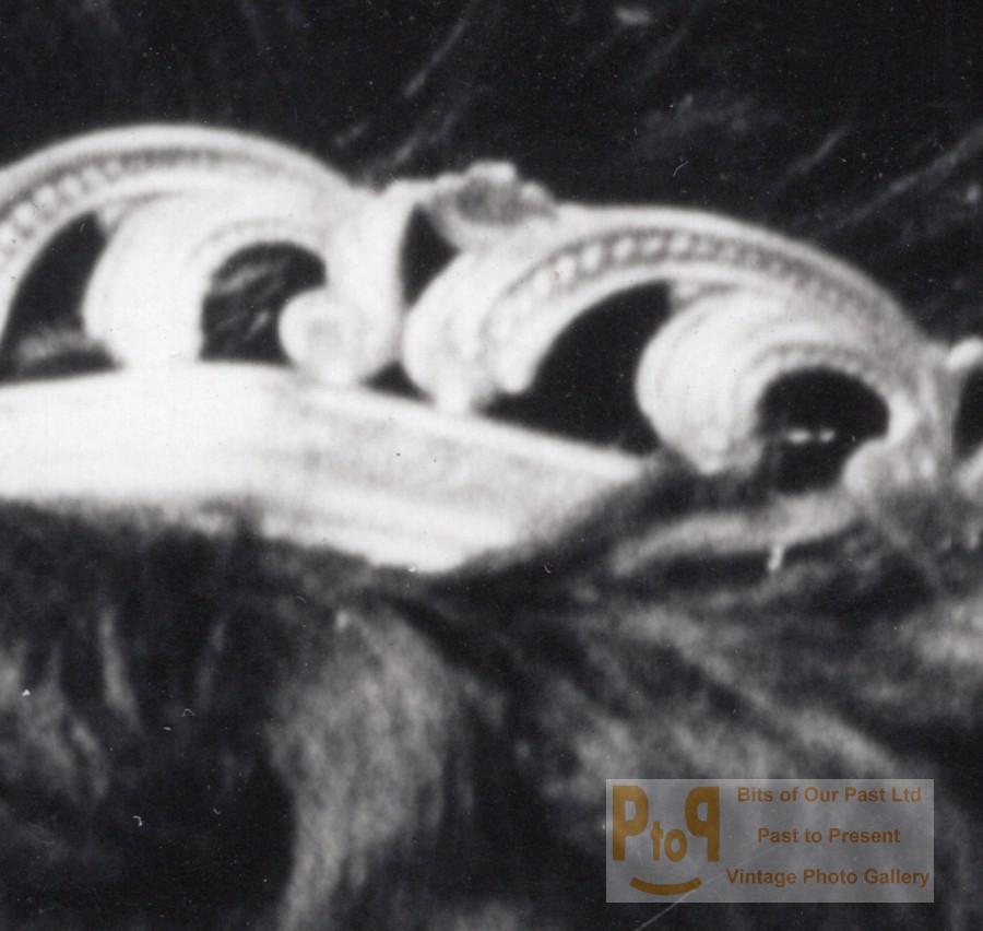 Actress Anne Wakefield Artemisa Lion of Sparta old Photo 1961 by NEWS ...